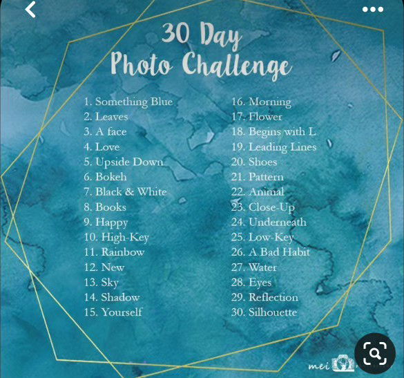 Claus Witt · Photo a day challenge; day zero