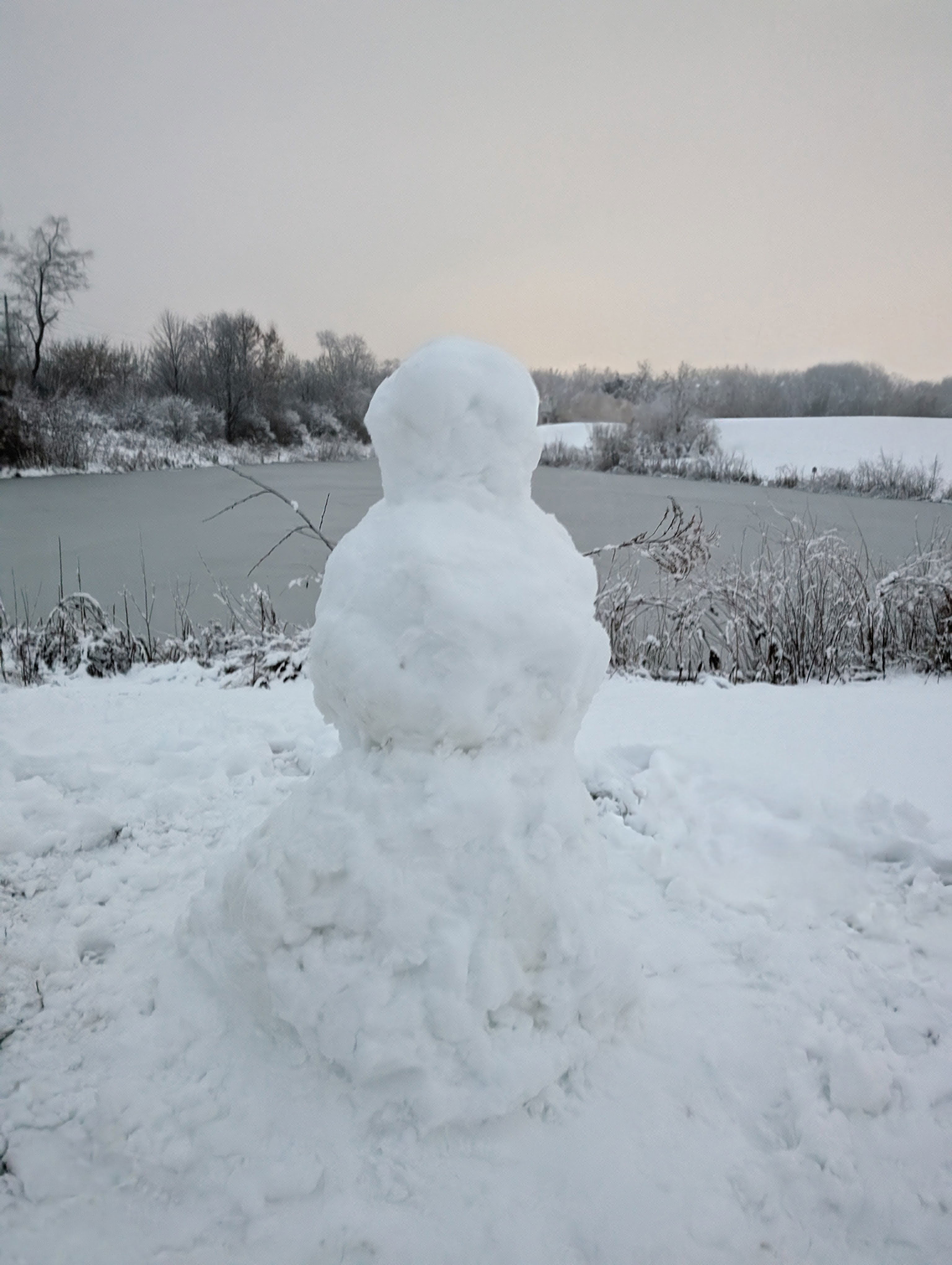 @poprox’s statuslog